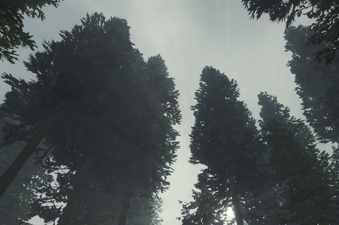 First-person open-world survival horror game The Forest looks brilliant ...